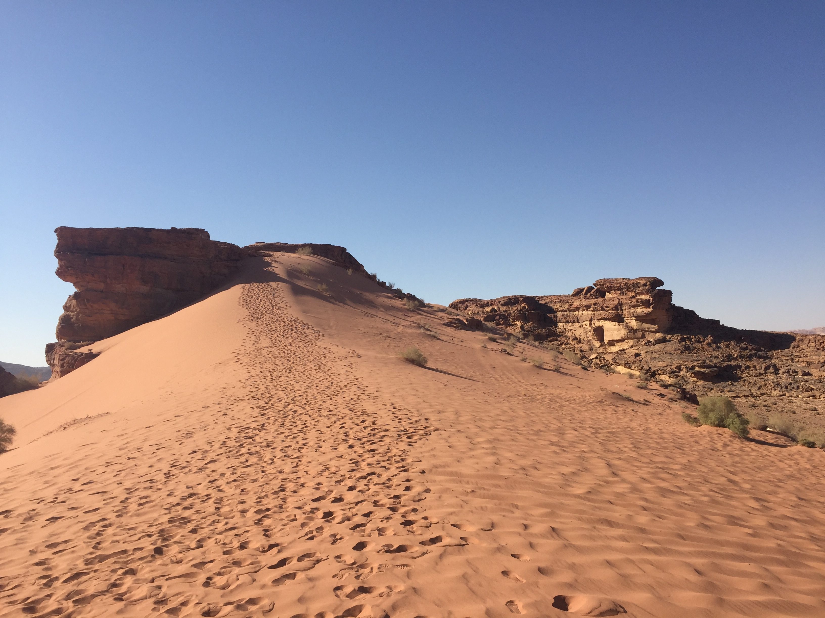 24 Top Ecotourism Destinations In The World
