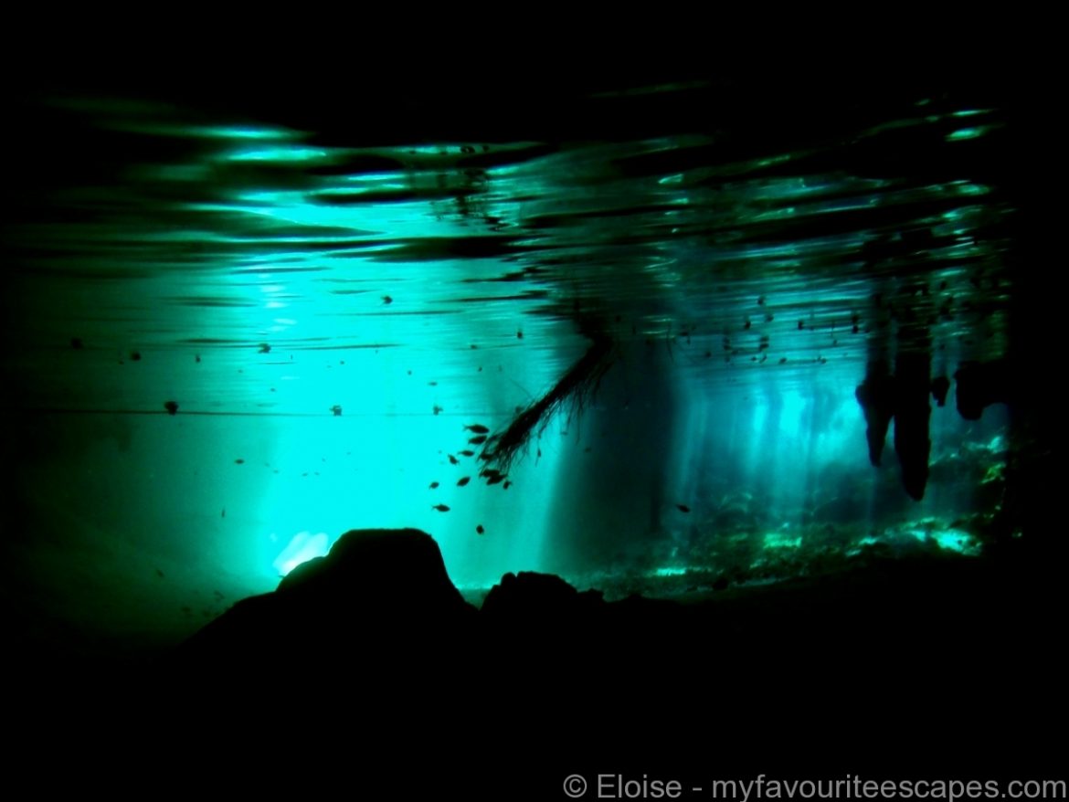 Visit Gran Cenote, Tulum - A Complete Guide [2024]
