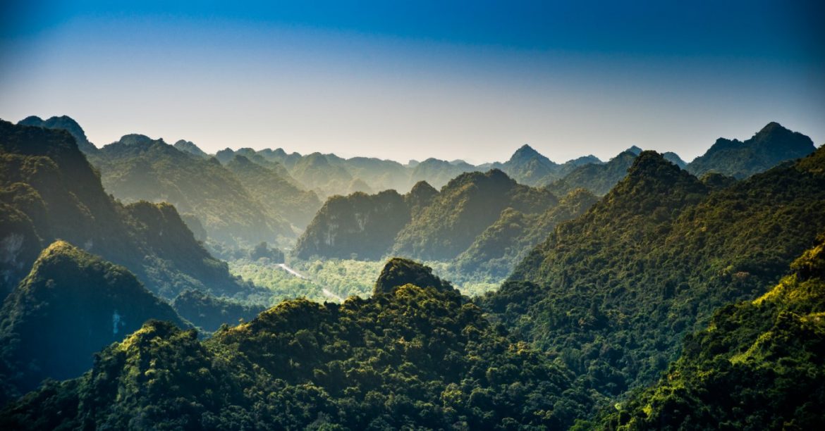 A Guide To the Best Halong Bay Cruise