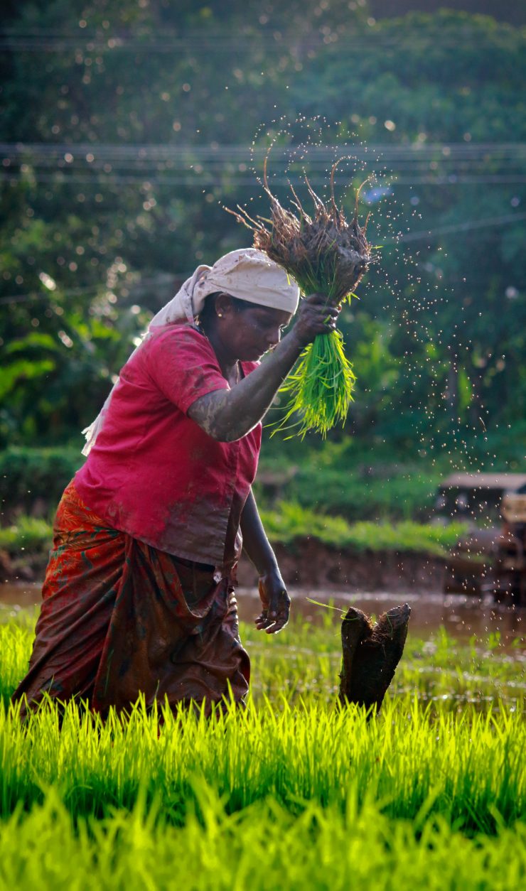 Kerala: The Magnificence of Ordinary Lives
