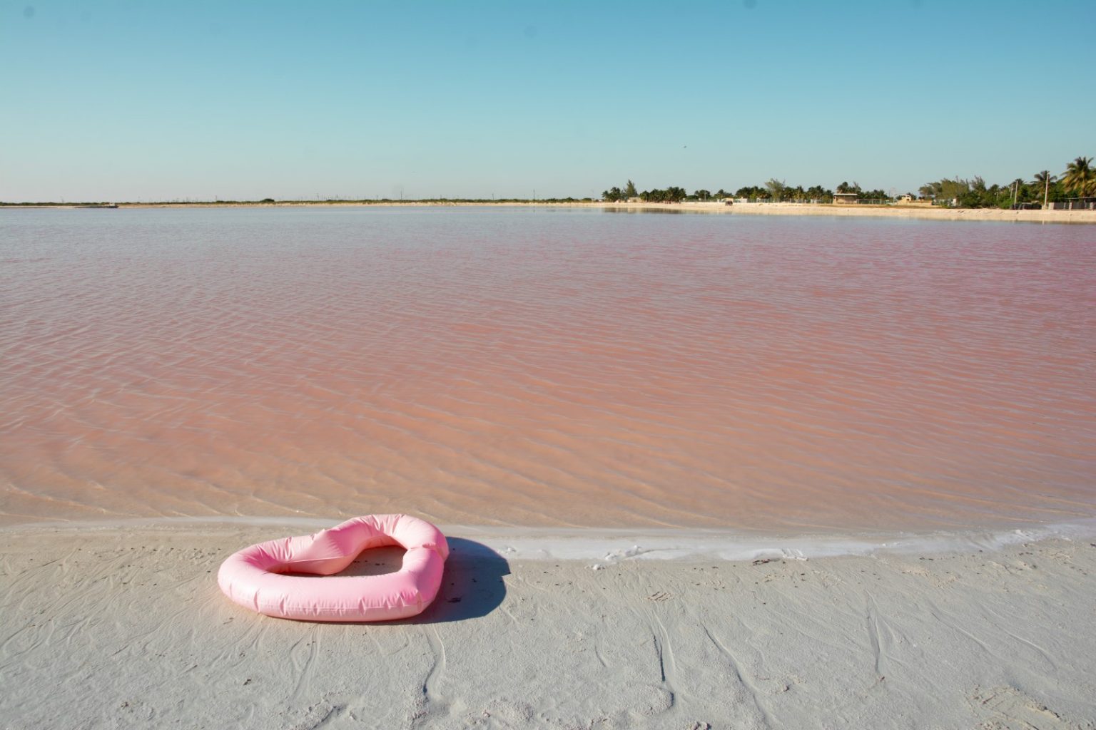 The Pink Lakes Of Las Coloradas, Mexico: A Full Guide