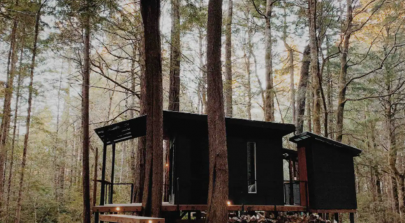 25 Best Treehouse Rentals in California