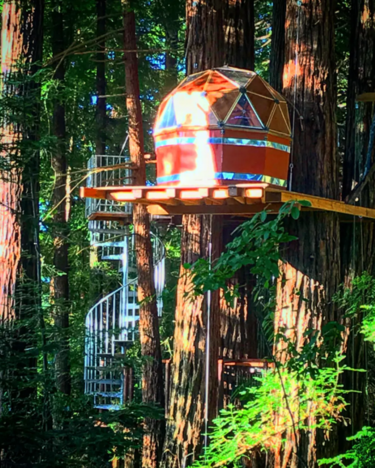 25 Best Treehouse Rentals in California