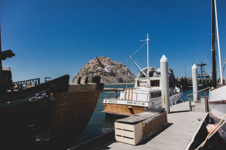 13 Best Things To Do in Morro Bay