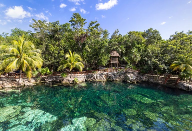 16 BEST Riviera Maya & Playa del Carmen Cenote Tours [2024]