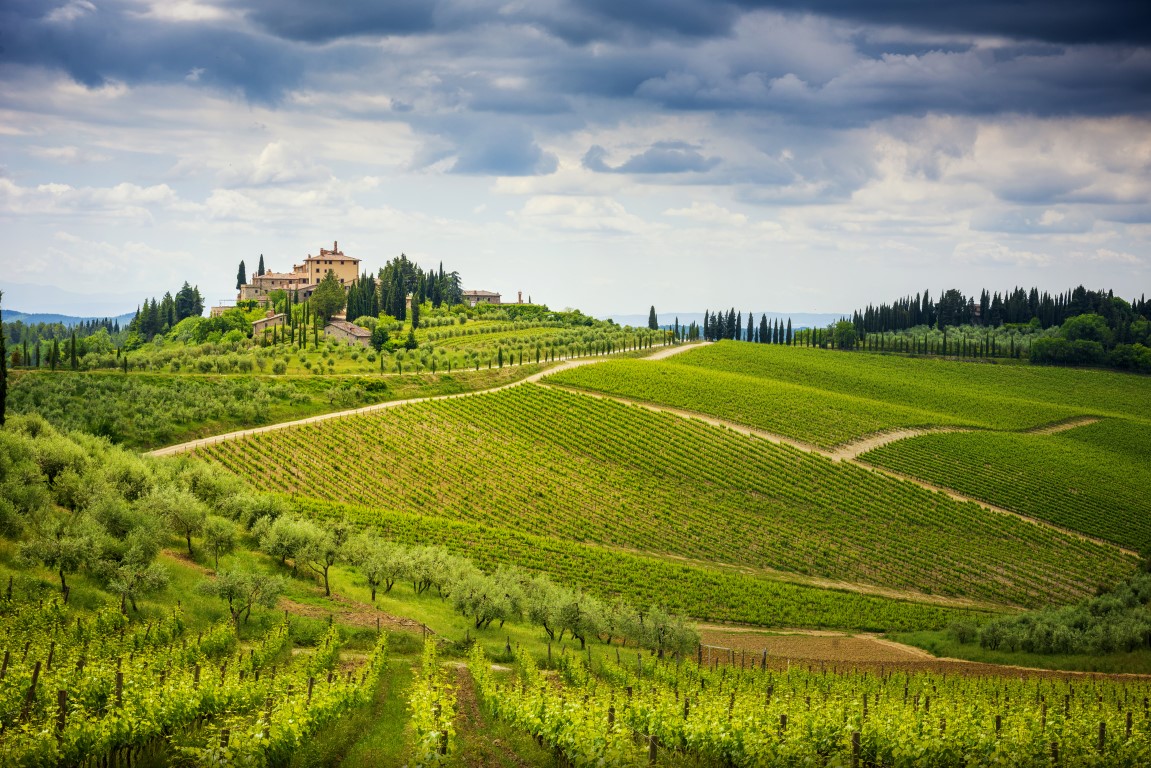 8 BEST Rome to Tuscany Day Trips & Tours