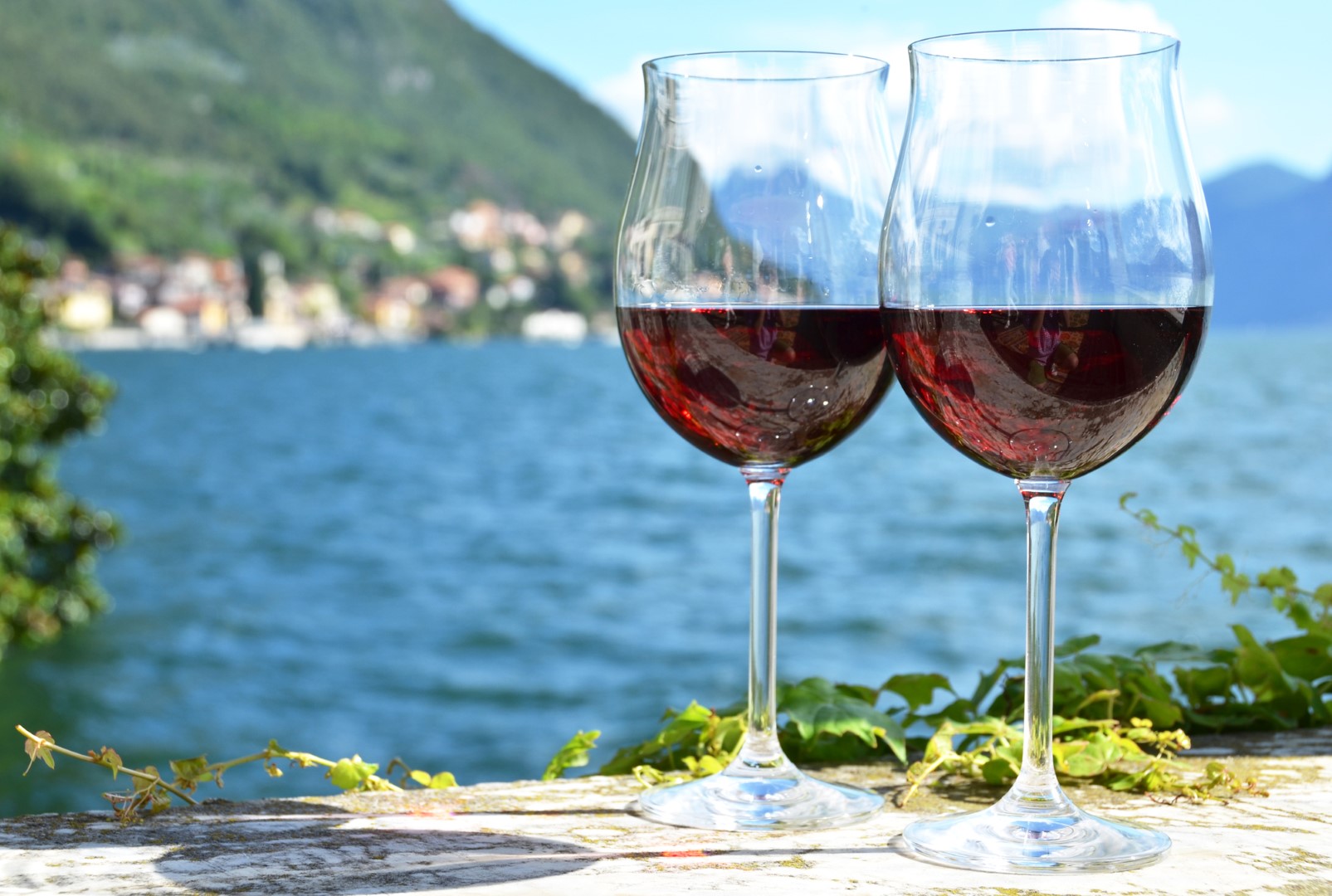 Wine Tasting in Lake Como: 6 BEST Experiences