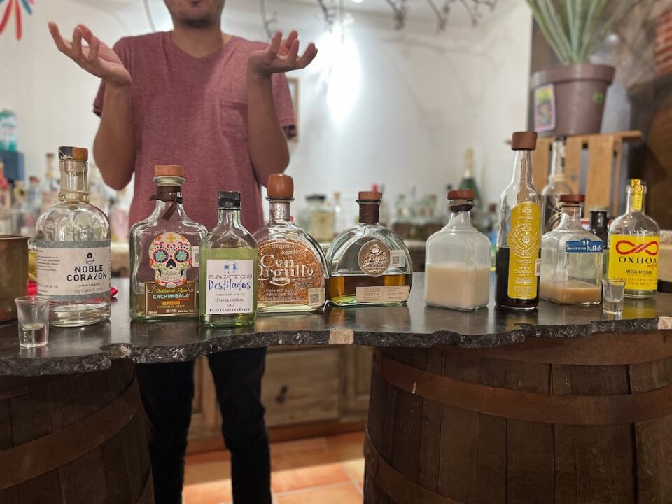 Tequila Tasting in Cabo San Lucas (9 Options)